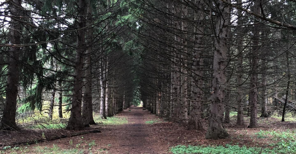 Community Update on Initiatives Addressing Homelessness | City of ...